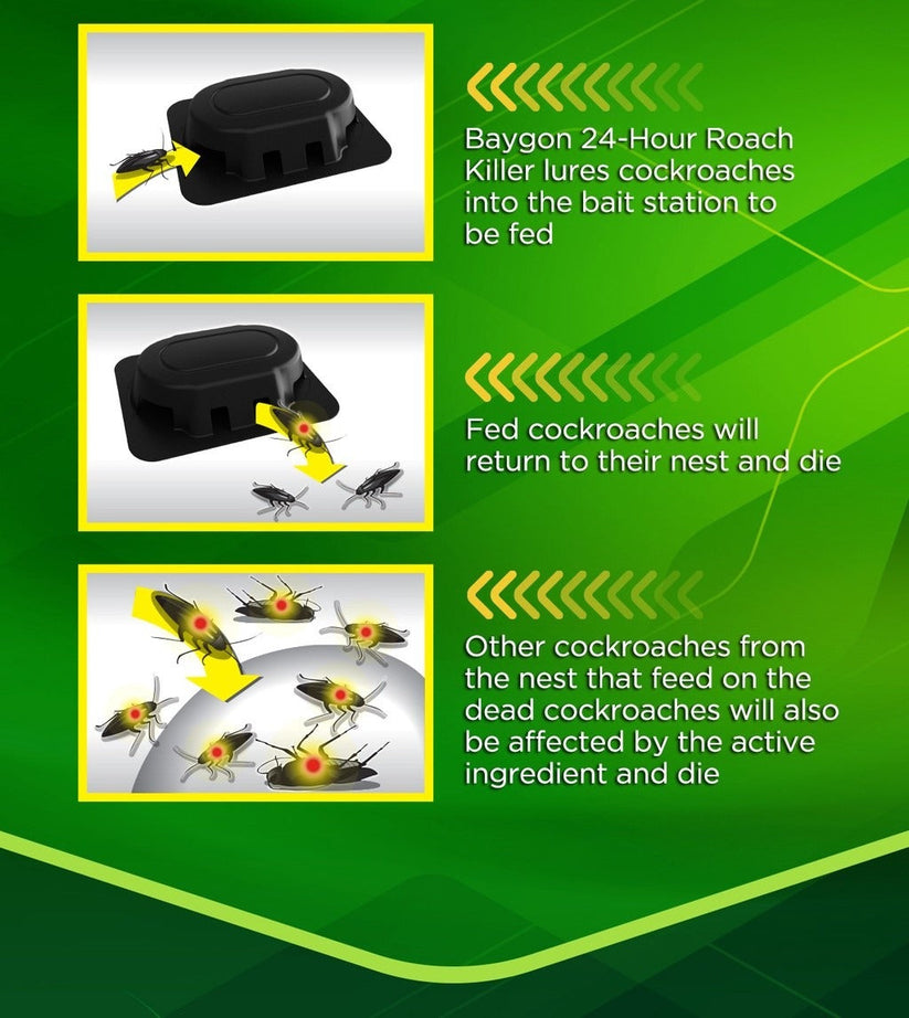 Baygon 24-Hour Cockroach Killer Paste Bait 6's x 3 packs – ATIS.ph